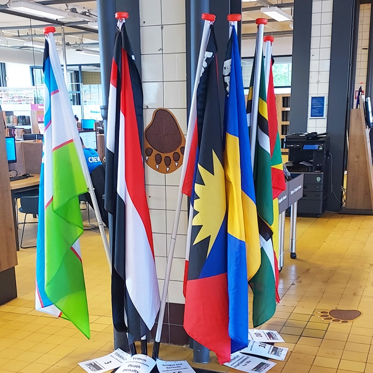 HOME - Zero Flags Project